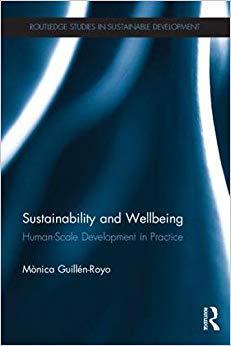 【预售】Sustainability and Wellbeing