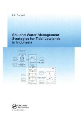 【预订】Soil and Water Management Strategies for Tidal Lowlands in Indonesia