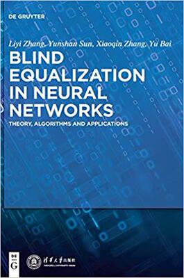 【预售】Blind Equalization in Neural Network...