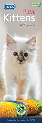 【预订】I Love Kittens, RSPCA Slim Calendar 2022 9781529816488