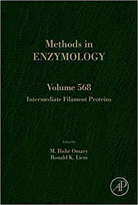 【预售】Intermediate Filament Proteins