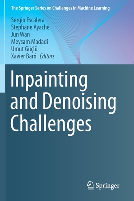 【预订】Inpainting and Denoising Challenges