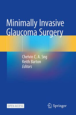 【预订】Minimally Invasive Glaucoma Surgery 9789811556340