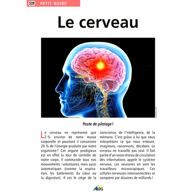 预订 Le cerveau 大脑: 9782381480718