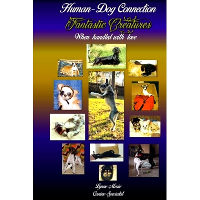 预订 Fantastic Creatures: When handled with love: 9781692119812