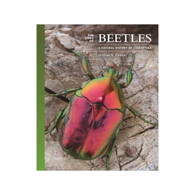 预售 []The Lives of Beetles 9780691236513