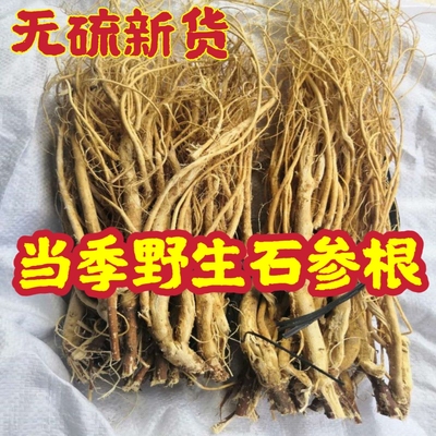 新货野生石参根虎尾轮煲汤炖汤广东梅州客家土特产石参根纯天草