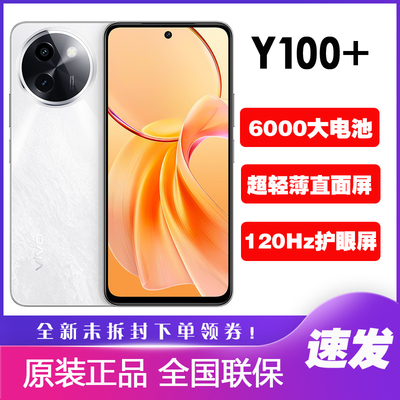 vivo Y100+智能5G手机6000毫安大电池y100闪充护眼直屏 vivoy100+