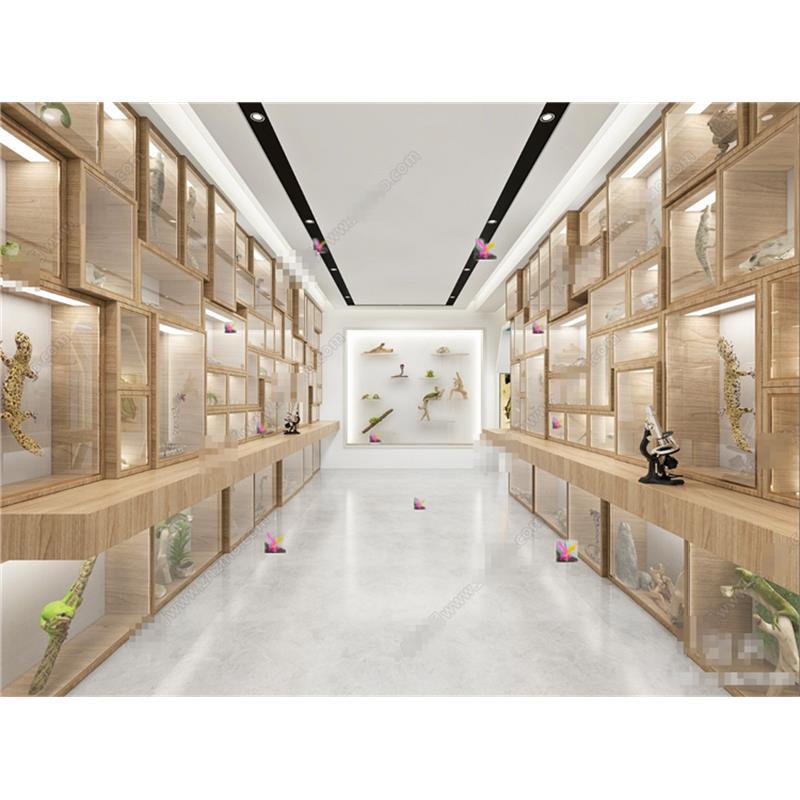 5077现代动物植物标本 动物展示墙 动物标本展示 标本墙SU模型