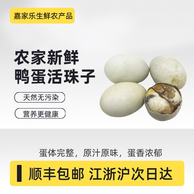 鸭活蛋鸭胚蛋土鸭喜蛋杭州临安凤凰蛋新鲜17-19天顺丰包邮屈头蛋