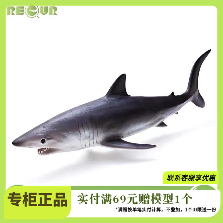 Recur悦酷灰鲭鲨软胶仿真海洋世界动物模型塑胶沙滩鲨鱼儿童玩具