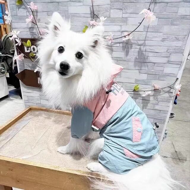 DOG DEPT马卡龙色系户外防风防虫穿轻度防水户外衣吊带裤巨贵适合