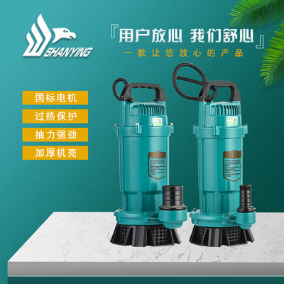 三鹰qdx家用小型大流量抽水泵