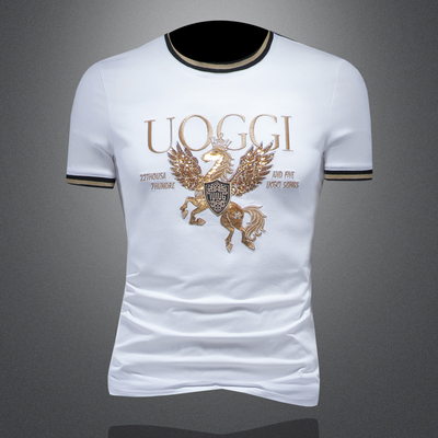 2025夏季欧货 IUIUG轻奢潮流刺绣丝光棉短袖t恤男 D320-88012-P75