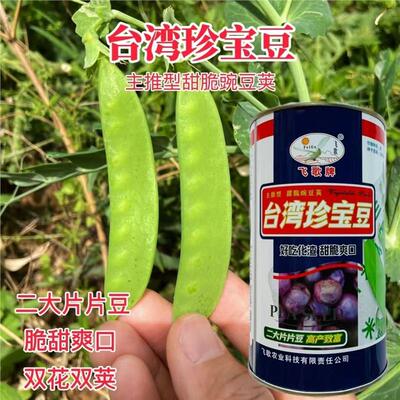 【脆甜爽口】台湾珍宝豆种子翠绿中早熟荷兰豆种子台湾引进蔓生白