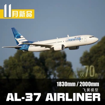 飞翼AL-37波音737MAX双70涵道客机航模