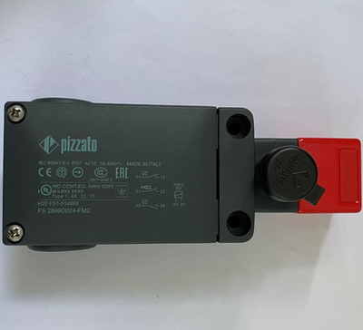 Pizzato意大利原装进口门锁开关FS 2898D024-FM2正品保证假一罚十