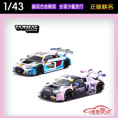 TW43奥迪R8LMSGT3EVO汽车模型