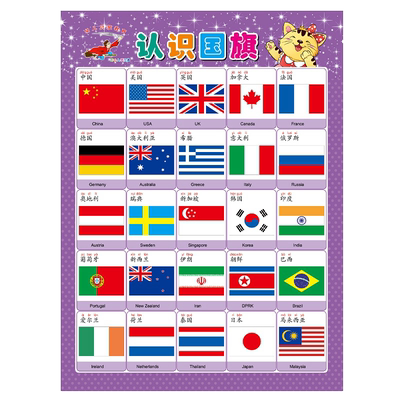 认识世界各国国旗汽车无声益智