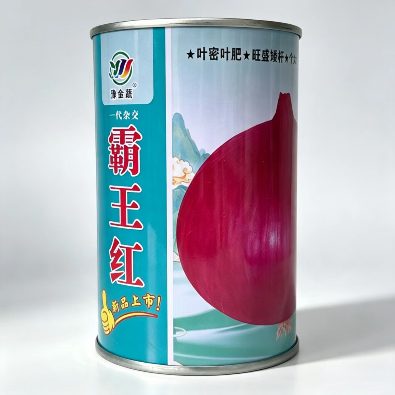 霸王红红皮洋葱种子杂交中晚熟红皮圆葱洋葱头种子抗病强耐储运