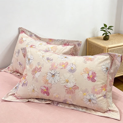 50x80cm枕套新款定做全棉磨毛单枕套两只装成人田园单人加大50x80