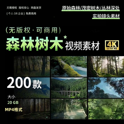 无版权原始森林树木实拍主题视频素材茂密丛林热带雨林4k可商用