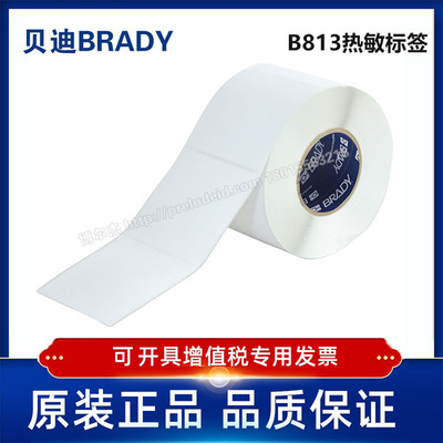 DT-161-813-1/101.60x101.60定制代打印贝迪BRADY热敏纸标签B813