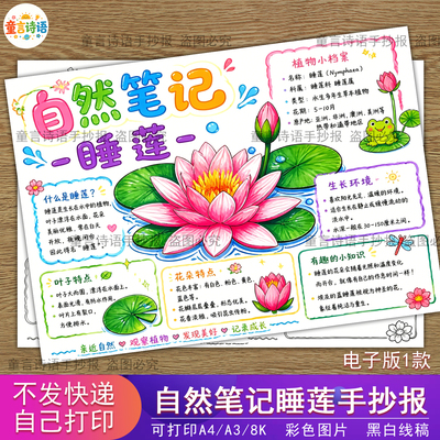 S91自然笔记-睡莲手抄报模版植物主题小报可打印A4/A3/8K高清线稿