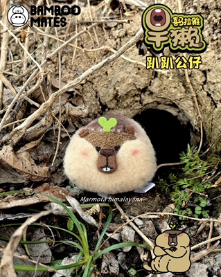 【新品】红山森林动物园喜马拉雅旱獭趴趴