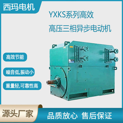 西安西玛电机YXKS4004-4极630KW6KV高压鼠笼型交流三相异步电动机