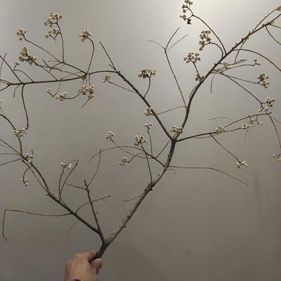 小白果乌桕果花束装饰品家居干花干树枝花瓶插花摆件diy手工