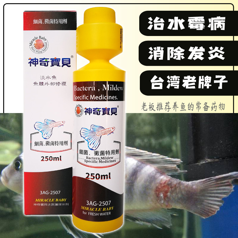 神奇宝贝观赏鱼水质护理剂2号细菌霉菌剂治水霉烂尾立鳞外伤蒙眼