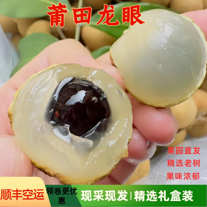 莆田龙眼新鲜现摘现发乌龙岭松风本品种当季水果整件批发