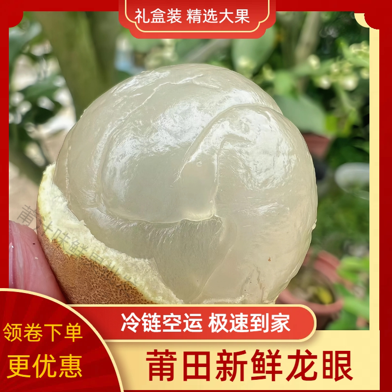 莆田龙眼当季水果精选新鲜大果9斤礼盒装顺丰空运现摘现发送礼