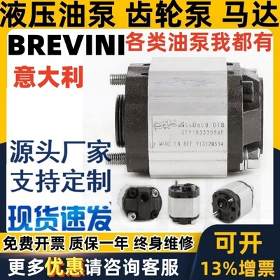 brevini齿轮泵BFP100 12 32DSAF PHC1-4.3 MH-4.2液压泵OT100 P07