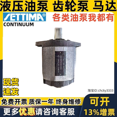 ETTIMA液压泵G55V075SFSAEBACGDL G47V026 GR28 GR47 GR70 2V 2C