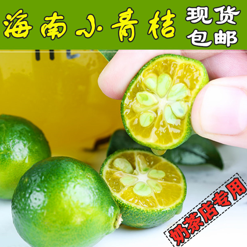 包邮 海南新鲜正宗海南青桔小金桔酸橘子柠檬现货现发奶茶店专用