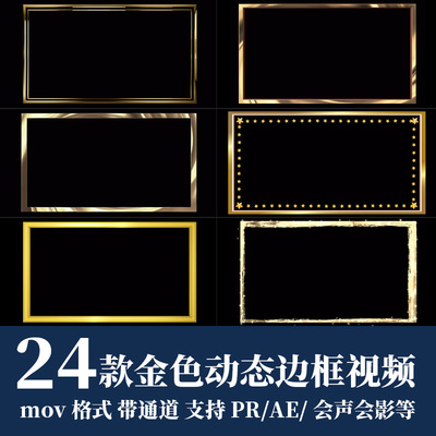 金色动态边框遮罩EDIUS PR 会声会影 剪映fcpx透明通道ED视频素材