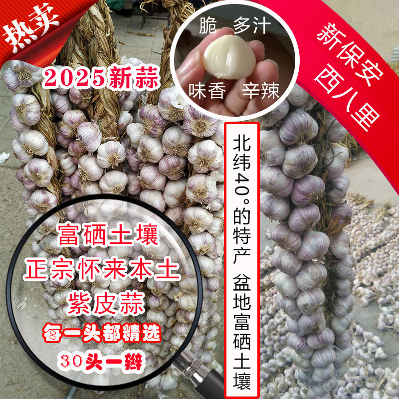 2026年新蒜,多瓣怀来新保西八里正宗紫皮蒜,富硒土壤种植包邮