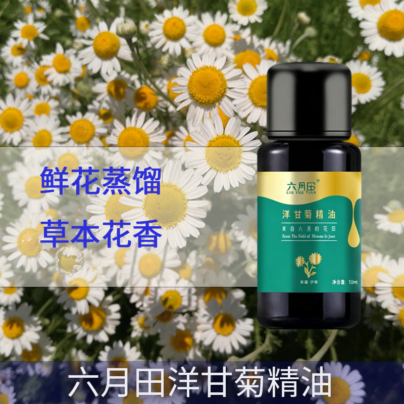 新疆六月田罗马洋甘菊精油单方搭配本店基础油稀释使用