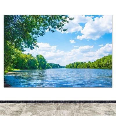 简约现代树林湖泊客厅背景墙贴装饰画蓝天湖水山水风景画自粘壁画