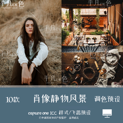 capture one样式 肖像风景静物人像婚礼调色滤镜C1飞思预设CO930