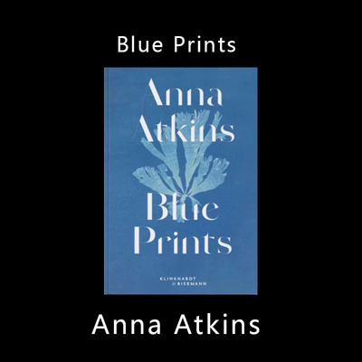 Blue Prints蓝晒集 Anna Atkins 安娜·阿特金斯