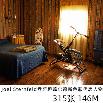 乔斯坦菲尔德Joel Sternfeld美国新彩色摄影公路摄影参考素材