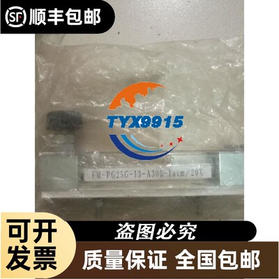 tofco流量计FM-PG25G-13-A300-1atm/20℃实物拍摄议