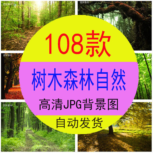 4K超高清 树木森林自然风光大图JPG图片电脑手机桌面壁纸背景