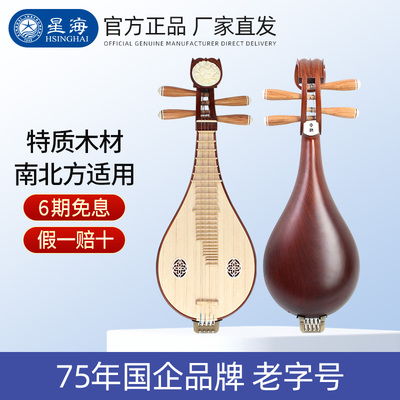 星海专业考级演奏柳琴