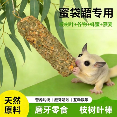 蜜袋鼯桉树叶磨牙棒悬挂磨牙玩具