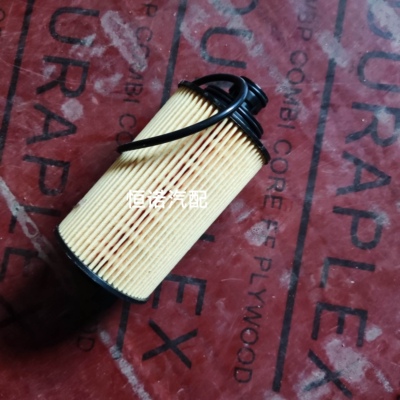 SH40X20136云内D19机油滤芯D20机油滤清器 JAC江淮轻卡 星锐1.9T