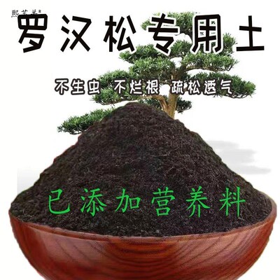 罗汉松专用土盆栽种花泥土营养土透气透水无虫有机肥种植土壤果树